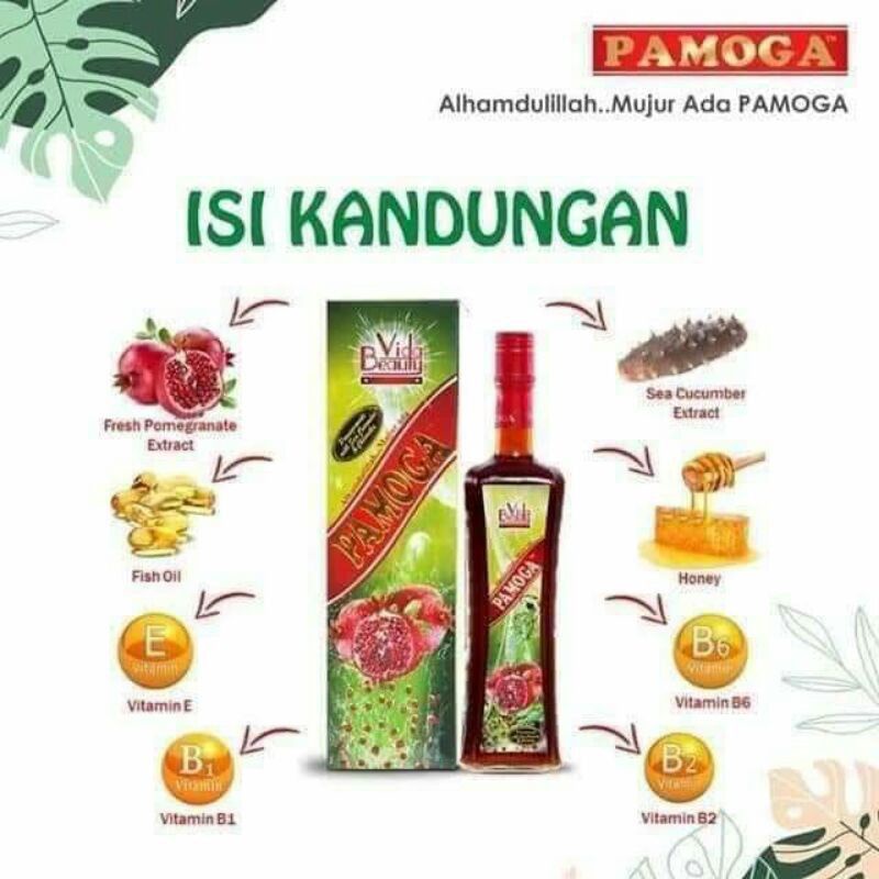 VIDA BEAUTY JUS PAMOGA 500ml | Shopee Malaysia