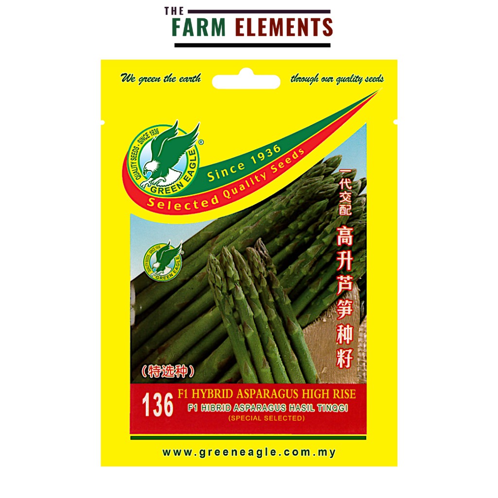 GE 136 F1 Hybrid High Rise Asparagus Seed/ F1 Hibrid Asparagus Hasil ...