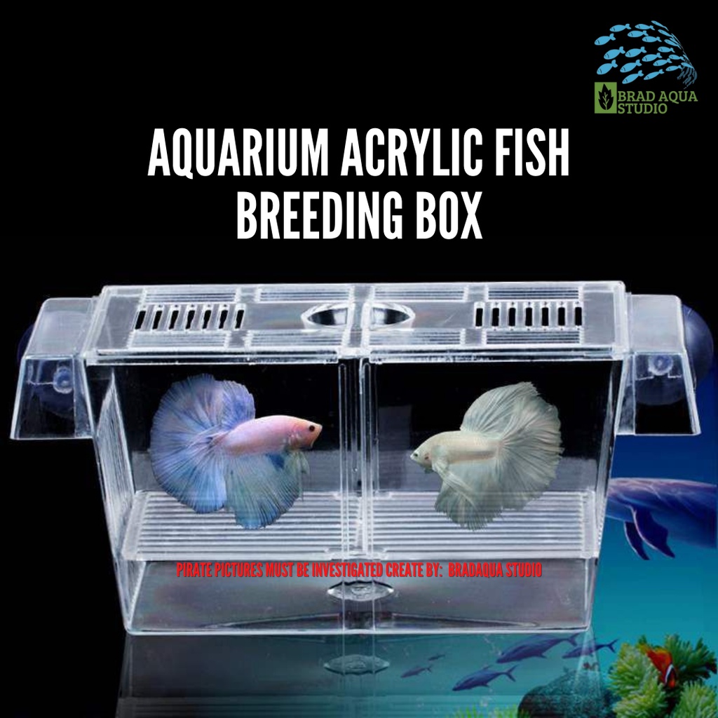 AQUARIUM Fish Breeding Box, Acrylic Fish Isolation Box Aquarium ...