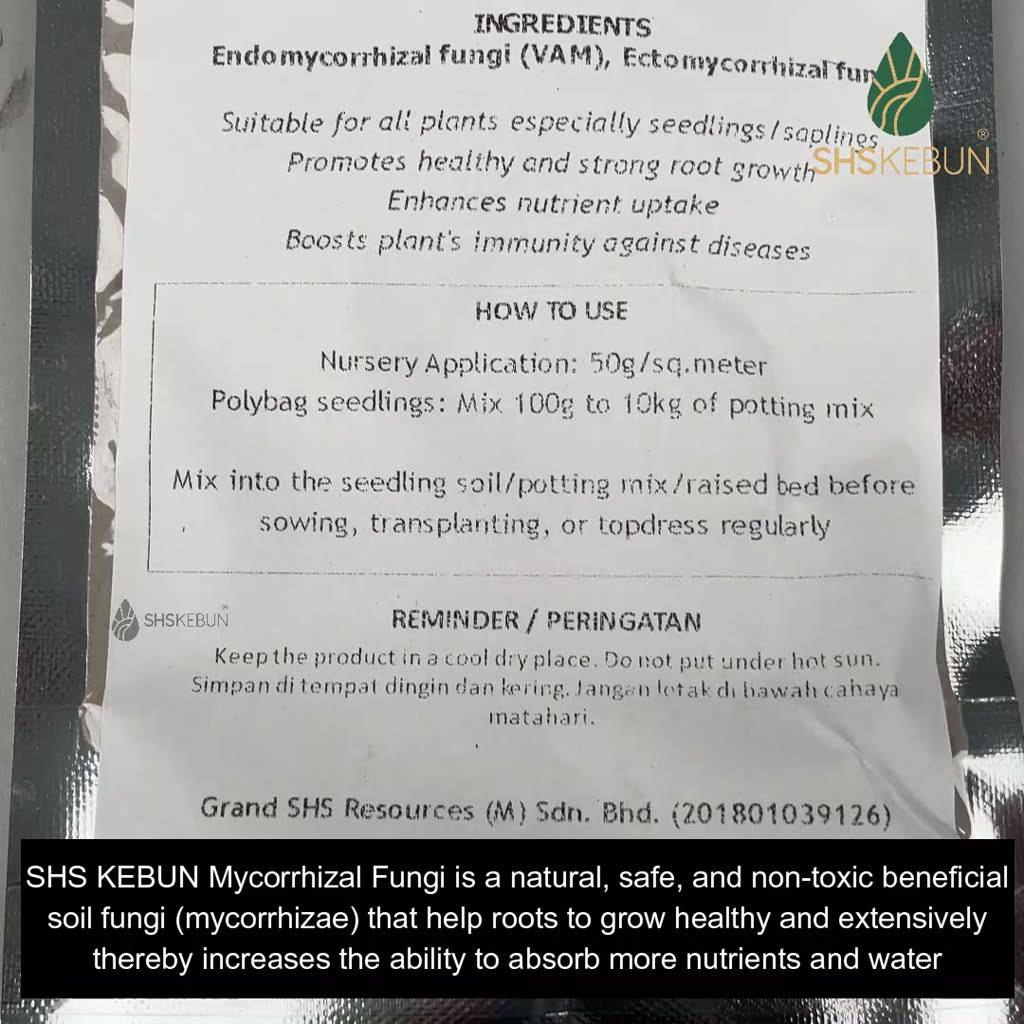 Baja Akar Mycorrhizal Fungi 菌根菌 根肥 Kulat Tanah Mycorrhizae Mychorizal ...