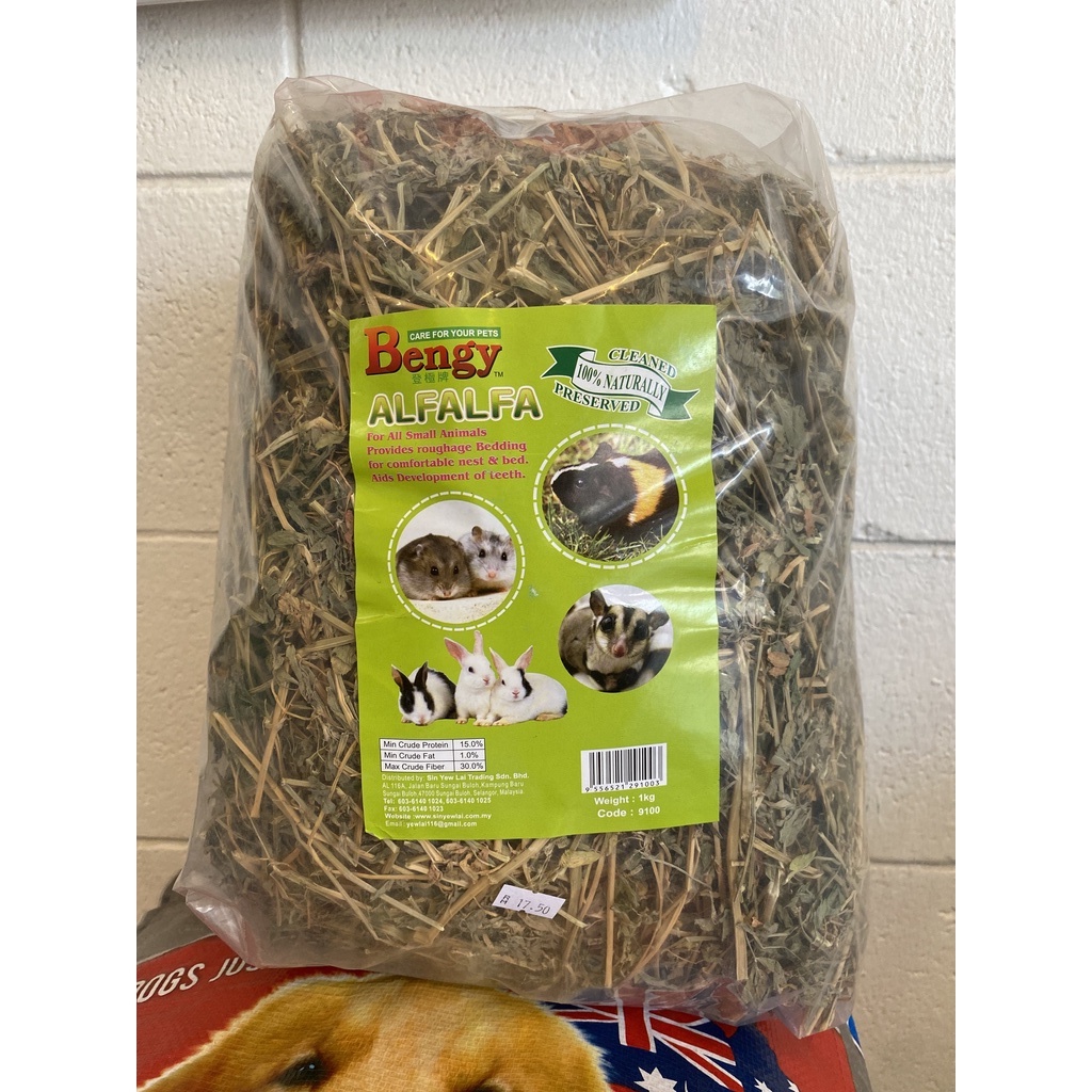 Bengy Alfalfa Hay / Daun Alfafa for Rabbits Guinea Pig Sugar Glider and ...