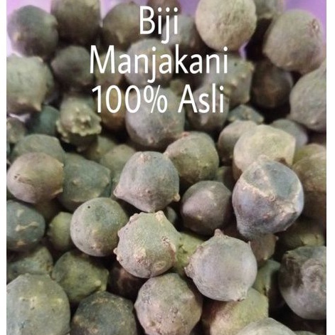 Biji Manjakani Asli(100grm) | Shopee Malaysia