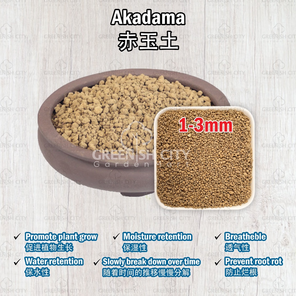 GNC Cactus Plant Tanah Tanaman Succulent Soil Stone Akadama Soil ...