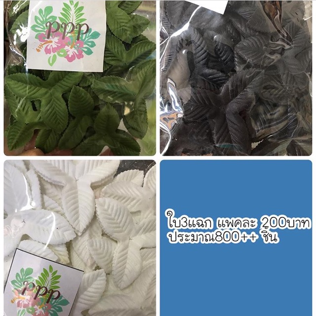 Cloth Leaf 6 Pointed/3 Large Pack | Shopee Malaysia