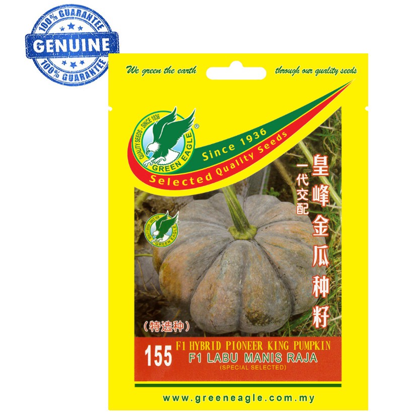 SEEDS / BENIH : 155 F1 HYBRID PIONEER KING PUMPKIN 155 F1 HIBRID LABU ...