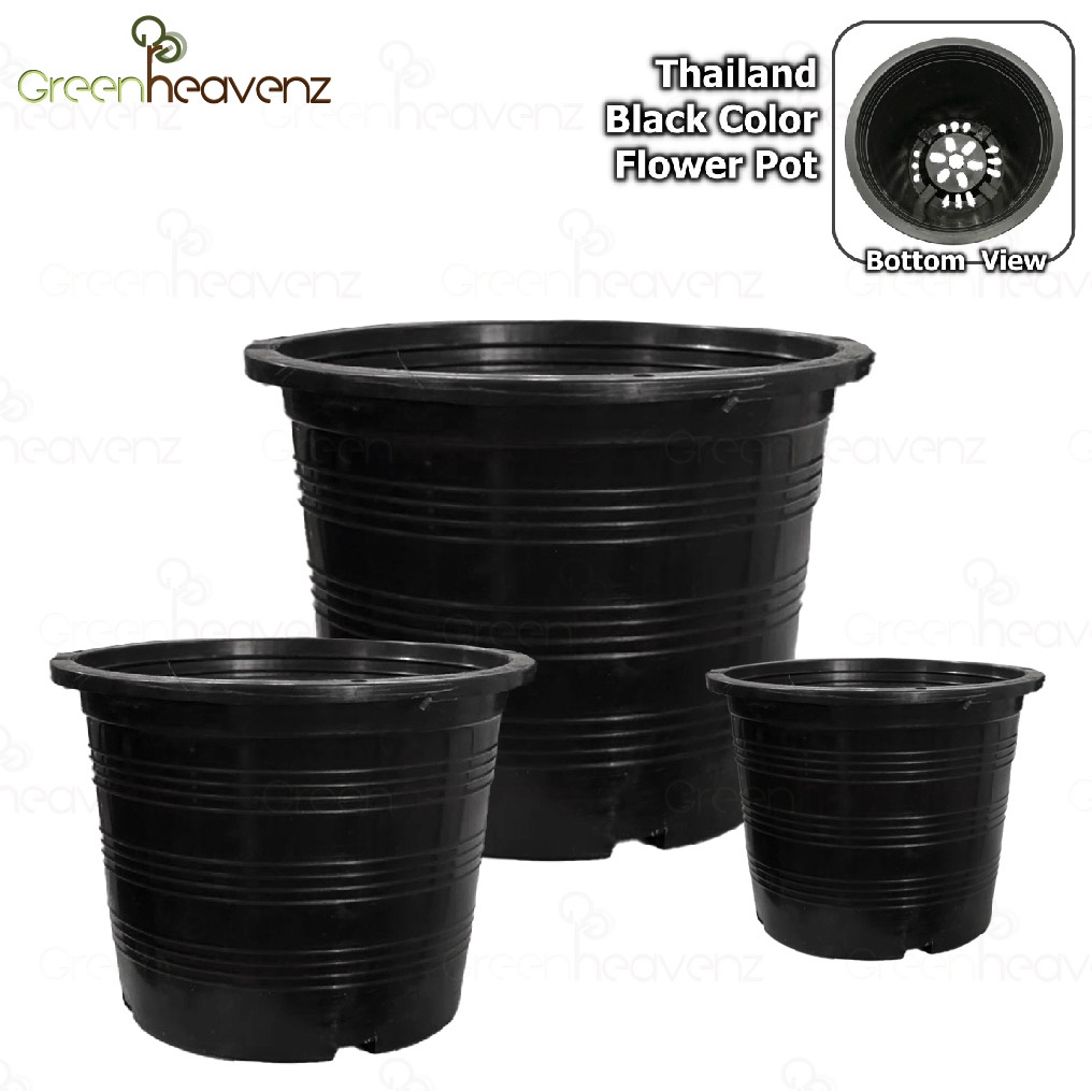 GHZ Gardening Pot Pasu Hitam Thailand Pasu Siam Planting Plastic Pot ...