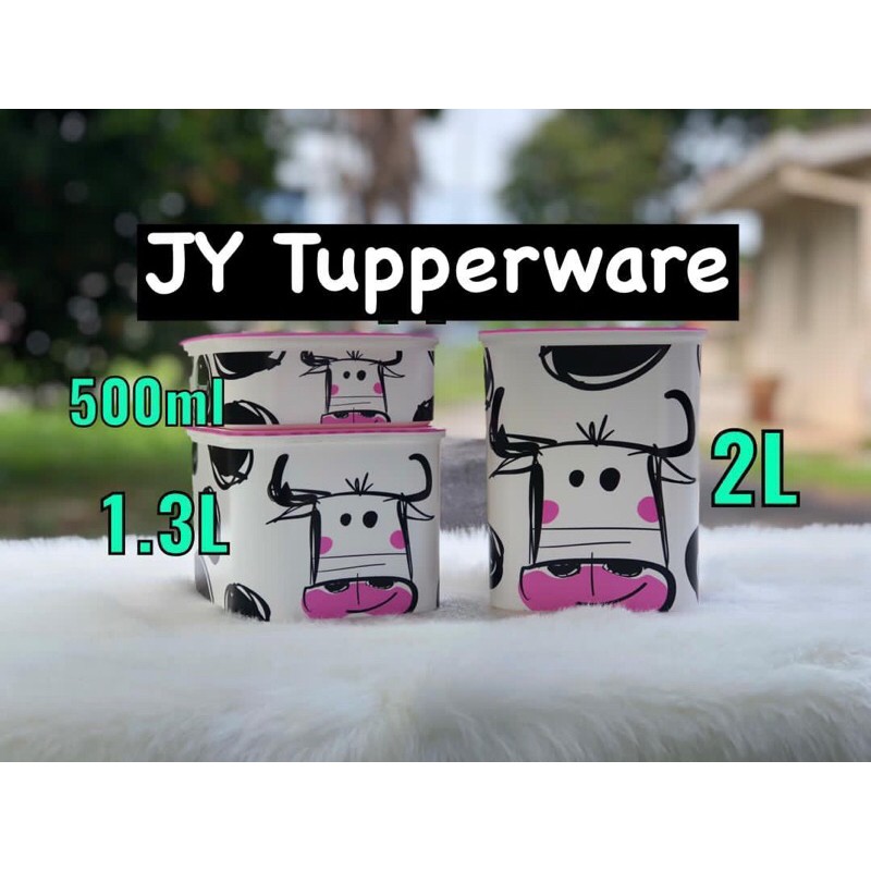 Tupperware Baseline Rare Moo Moo | Shopee Malaysia