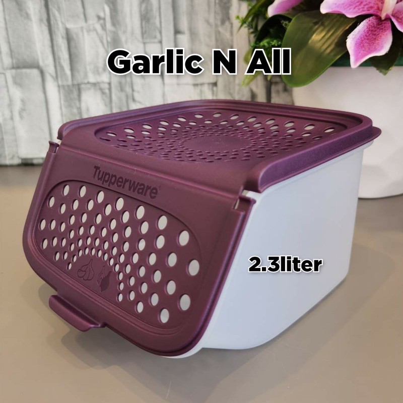 ready stock!!! Tupperware new garlic keeper N All (1pc) (bekas bawang ...