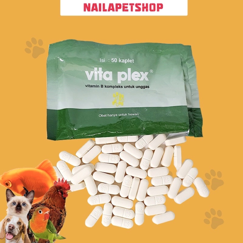 Vita PLEX 50capsules/VITAMIN Poultry Chicken Bird Complete VITAPLEX Animalpedia | Shopee Malaysia