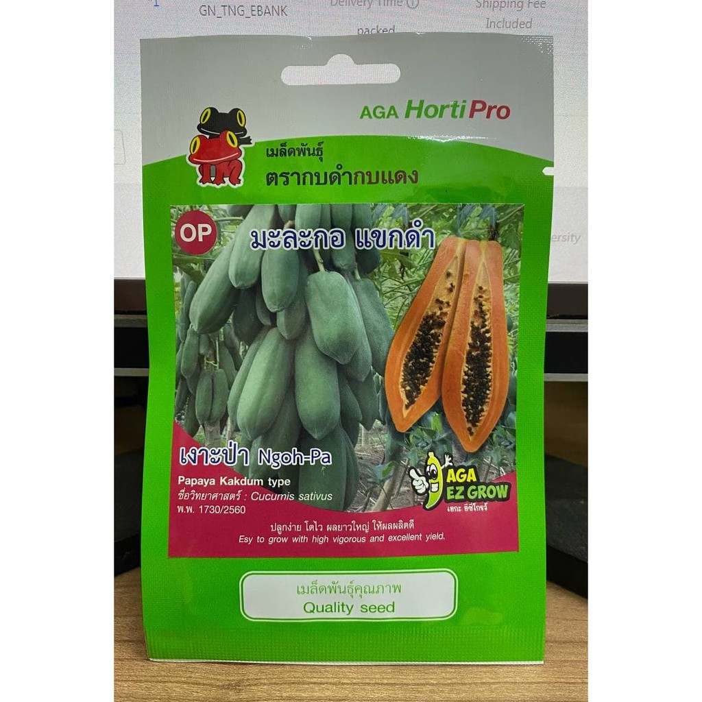 Benih Betik Manis Panjang Cap AGA (Pek 10 biji) | Shopee Malaysia