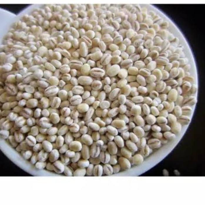 Limited - 1KG Barley | Jali-jali | Imi | Ibi | Barley | Hanjeli | Jali | Jali Beans | Jali jali ...