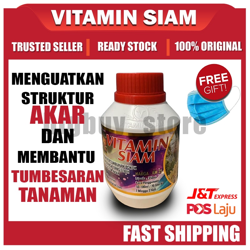 vitamin siam baja paling power dari Thailand BAJA VITAMIN SIAM | 350ML | Baja Viral Dari ...