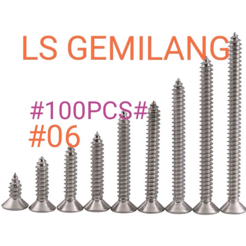 LS GEMILANG (100pcs) S/S #06 TAPPING SCREW Self Tapping Screws Wood ...