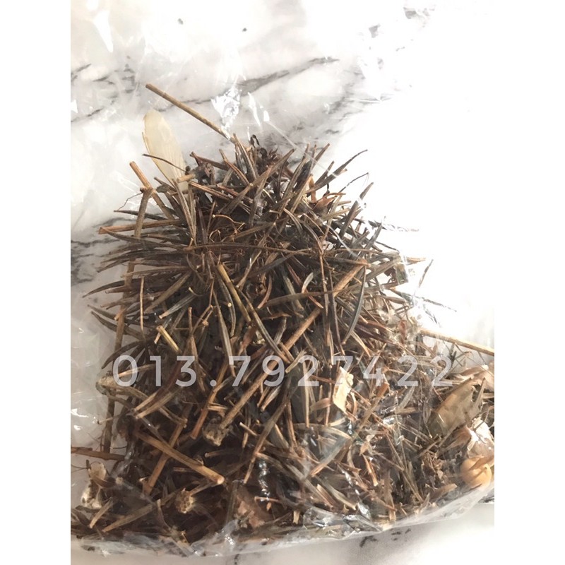 Benih Pokok Ulam Raja Kacang Kelisa Cili Merah Gemuk Thai Kacang Botol ...