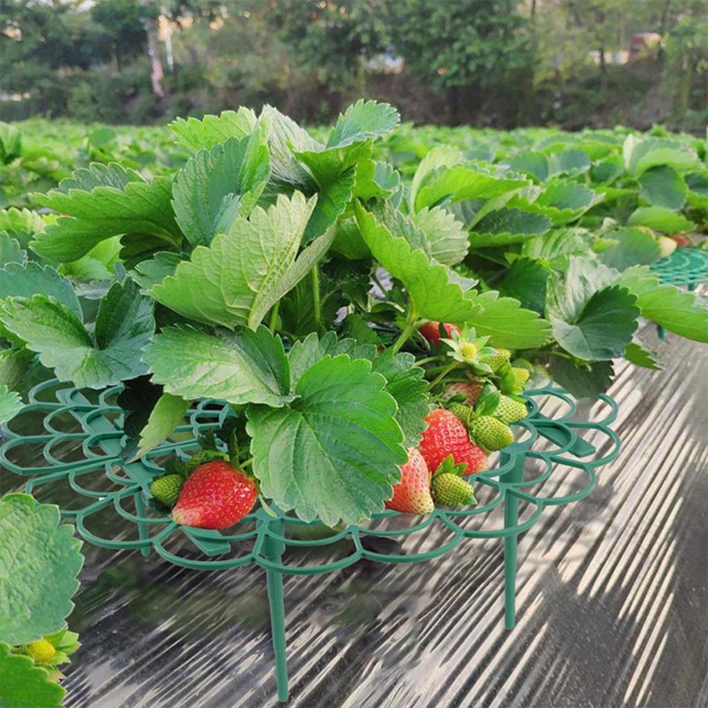 [In Stock]Balcony Grow Vegetables Fruit Climbing Pillar Strawberry ...