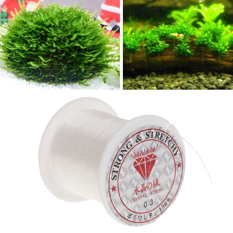 Aquarium Transparent Nylon Moss Thread Fishing Line （草缸透明尼龙超细水草莫斯绑线 ...