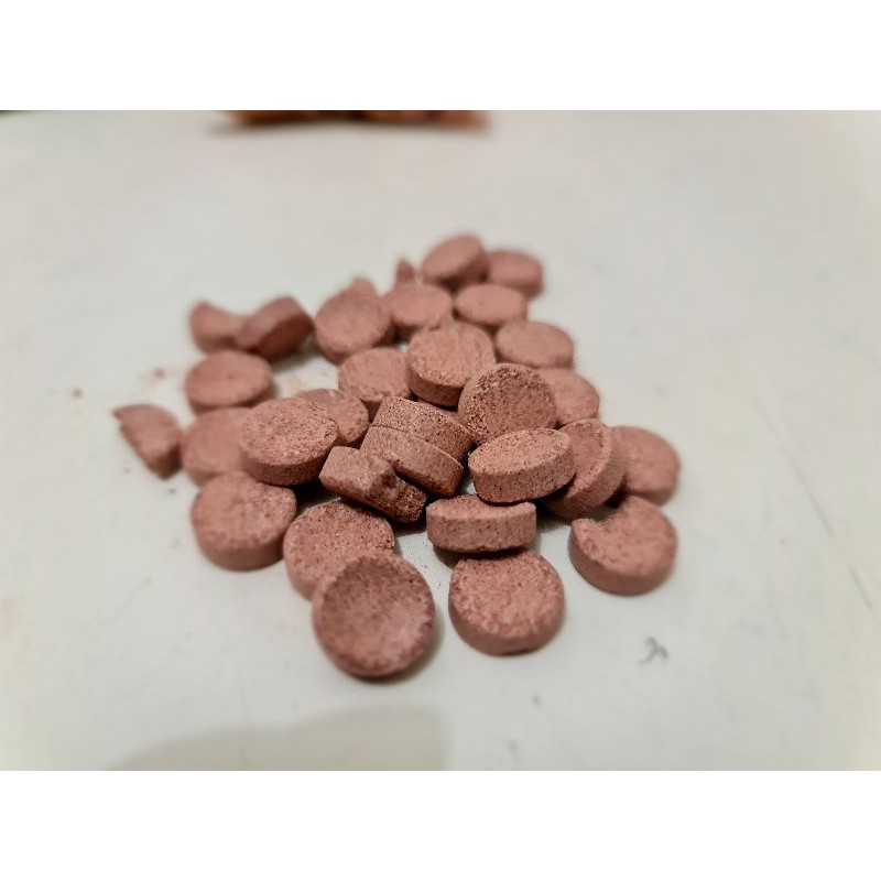 100PCS BRINE SHRIMP TABLET / PELLET BBS / PELLET ARTEMIA / TABLET BBS ...