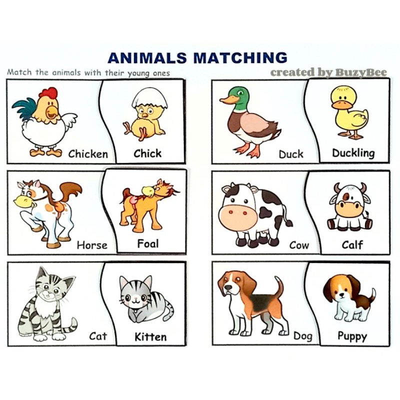 Animals Activities/ Montessori Early Learning/ Animals matching with ...