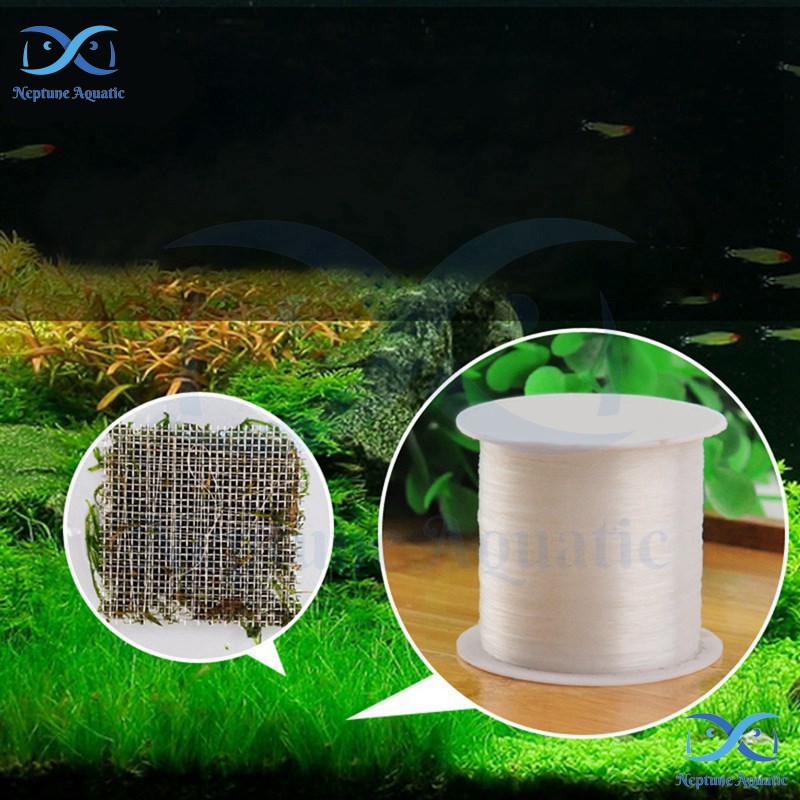 [Ready Stock] 100M Aquarium DIY Moss Fish Line Tie Moss Line Moss Fish ...