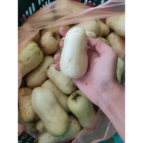 jambu susu / jambu kayu BUAH jambu | Shopee Malaysia