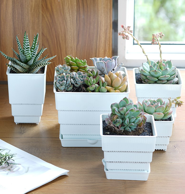 Mesh Pot Tall 8cm Succulent Cactus MeshPot Holes Square Pasu Plastik ...