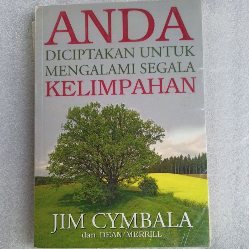 🇲🇾Ready Stock Christian Book By Jim Cymbala:Anda Diciptakan Untuk ...