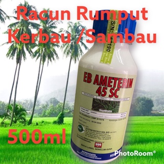500ml/ Racun Rumpai EB Ameterin / Racun Rumput Sambau Liat & Rumput ...
