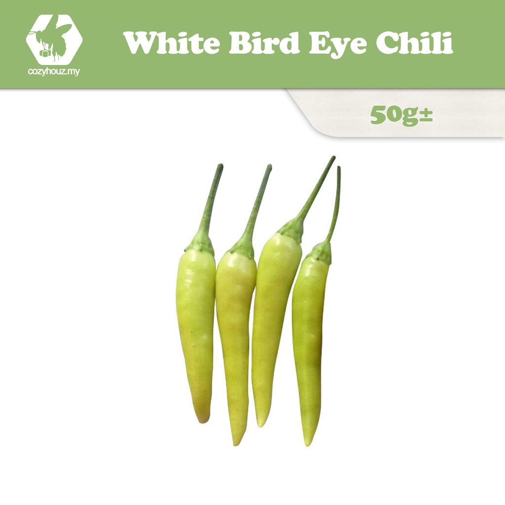 [BTW & PNG AREA ONLY] Bird Eye Chilli 【White】/ Cili Padi【Putih】 50g ...
