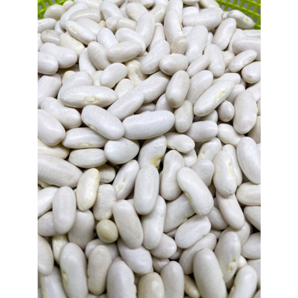 现货‘’ White Kidney Bean / White bean | Shopee Malaysia