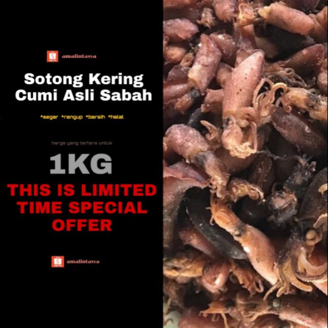 Sotong Kering Cumi Asli Sabah (1KG) | Shopee Malaysia