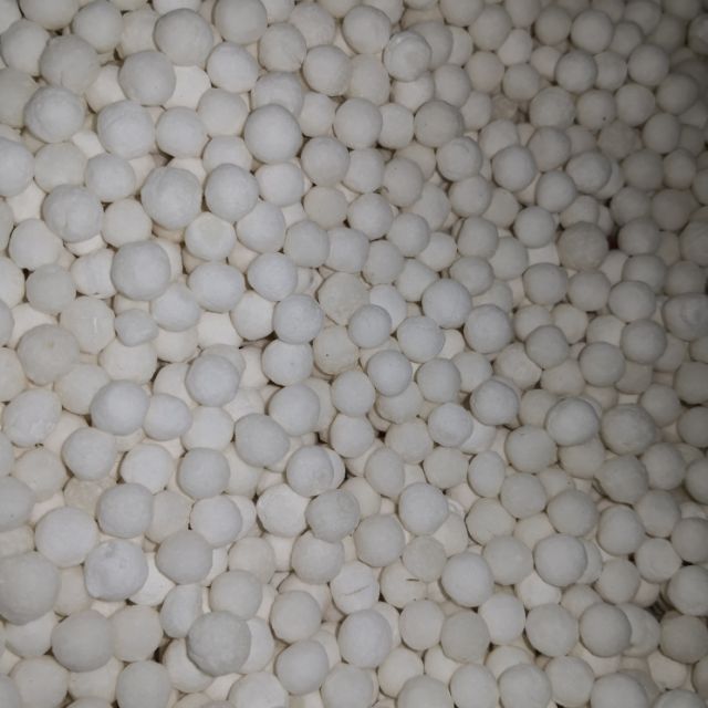 Sago Kasar/Besar (200G) | Shopee Malaysia