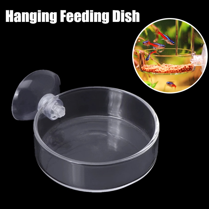 Glass Aquarium Feeding Bowl With Sucker Fish Tank Shrimp Food Feeder ...