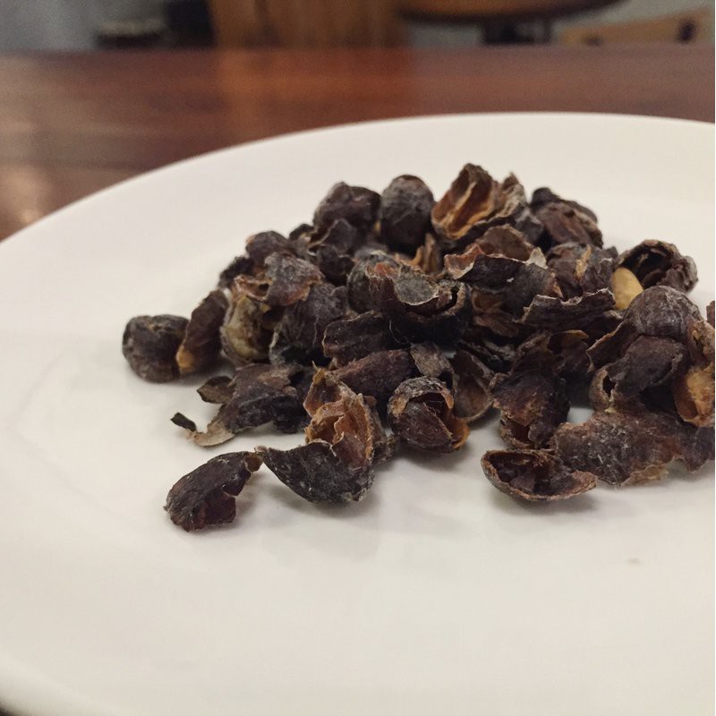 Panama Elita Manor Geisha Coffee Dried Cherry Fruit 100G | Shopee Malaysia