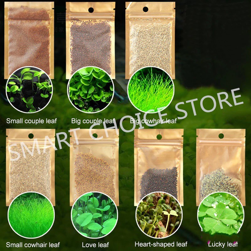 Fish Tank Aquarium Plant Seed Easy Growing Aquarium Water Plant Grass ...
