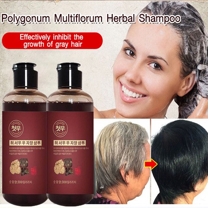 Polygonum multiflorum white to black shampoo Herbal Polygonum Shampoo ...