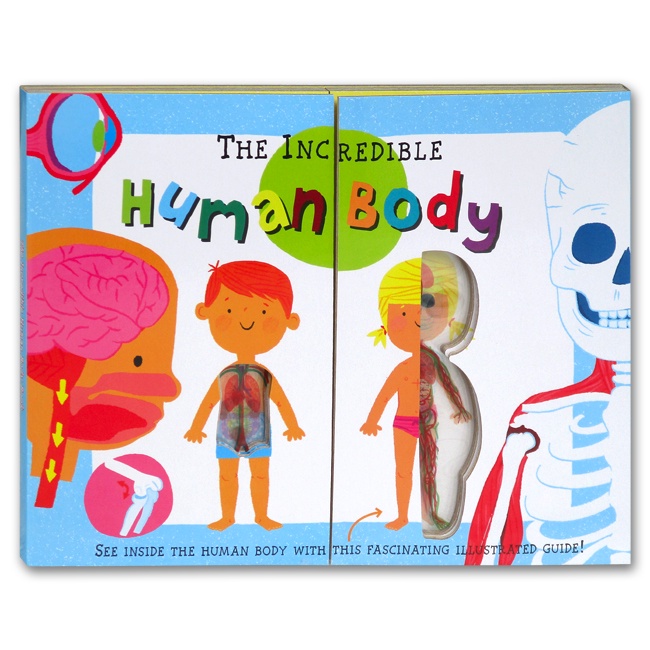 The Incredible Human Body Board Book (KD) | Shopee Malaysia