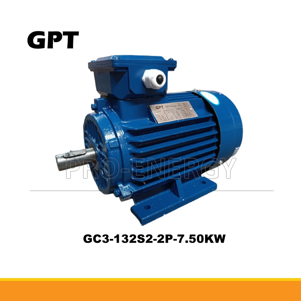 GPT Cast Iron Three Phase 3ph Squirrel Cage Motors 132S2 7.50kW 10HP 2P ...