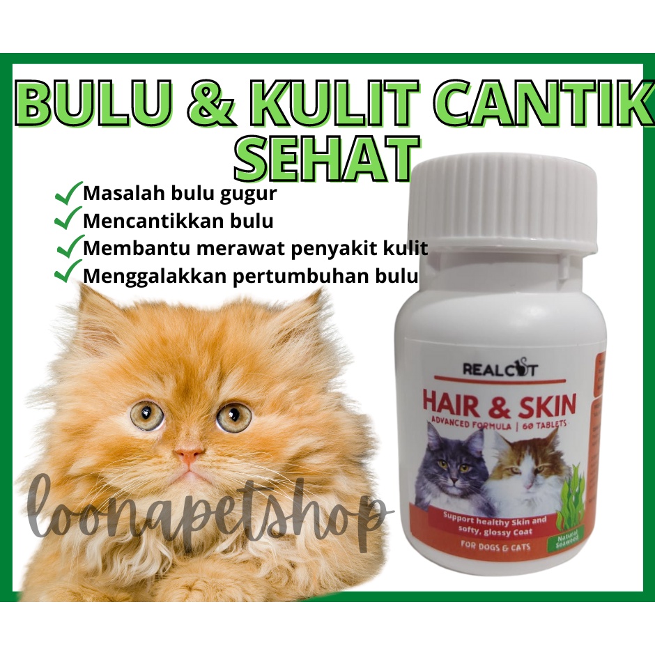 Vitamin Kucing Ubat Bulu Gugur Cat Supplement Skin Hair Coat Cantikkan ...