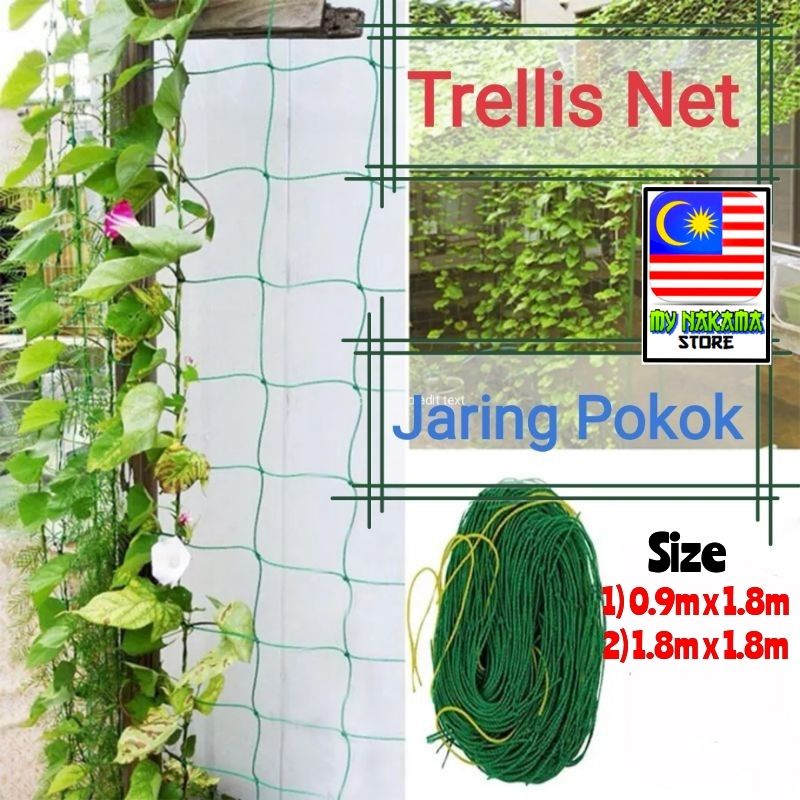 Climbing Net / Trellis For Tree Plant Flower / Jaring Untuk Pokok ...