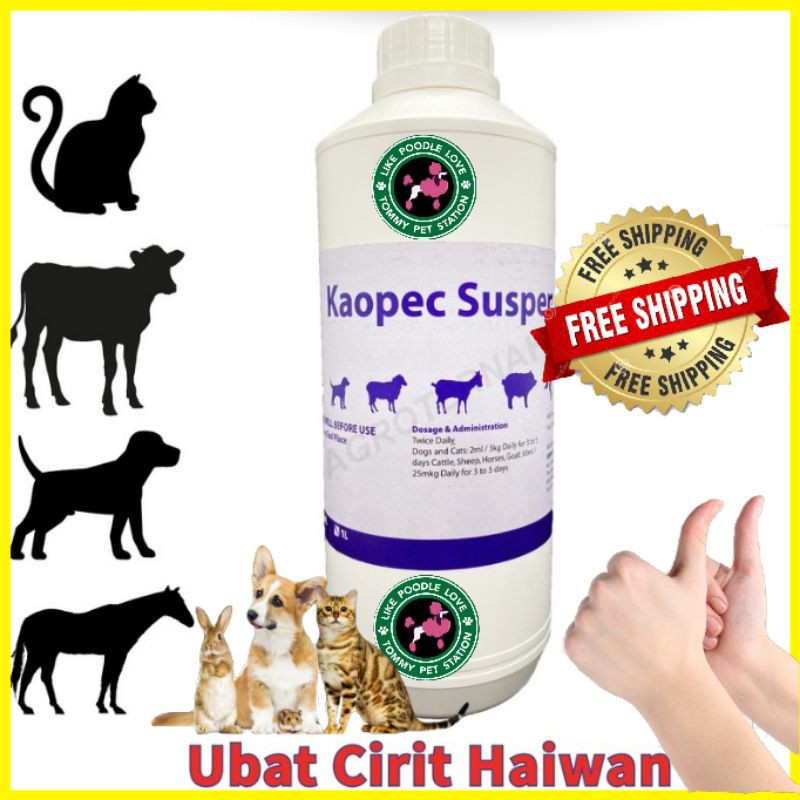 Kaopec Suspension Ubat Cirit Birit Kucing Arnab Anjing free botol ...