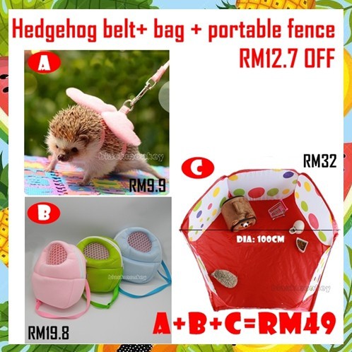 🐵Ready Stock🐵 Adult Hedgehog Outing Kit Hedgehog Carrier Harness Fence ...