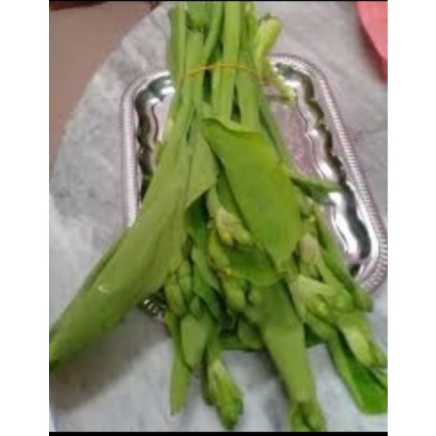 sayur paku rawan/ ginje/ merawan/ keladi merawan | Shopee Malaysia