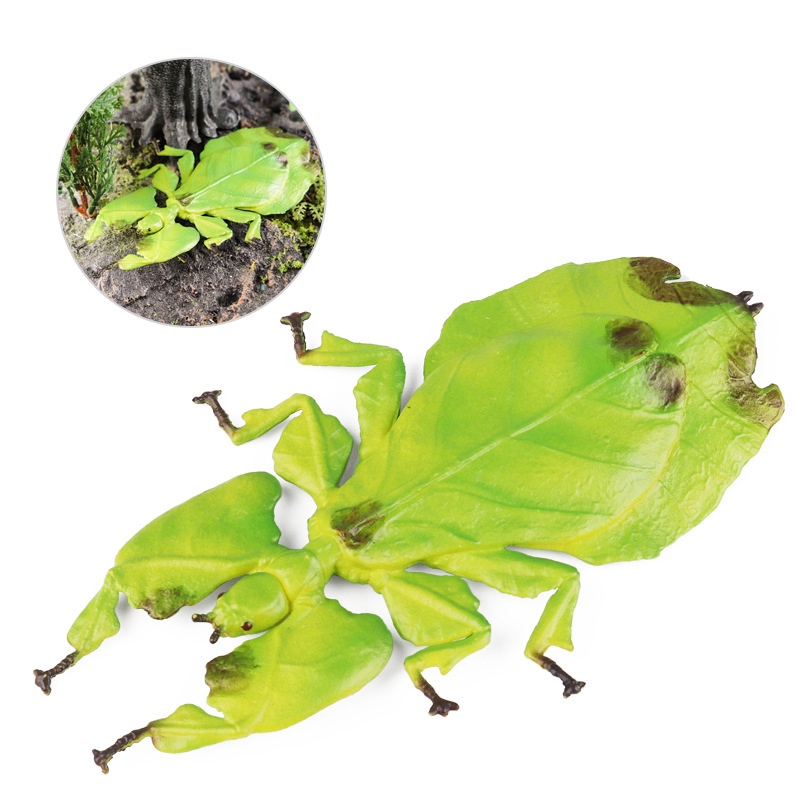 Model Phyllium Giganteum Giant Leaf Insect Imitation Toy Children ...