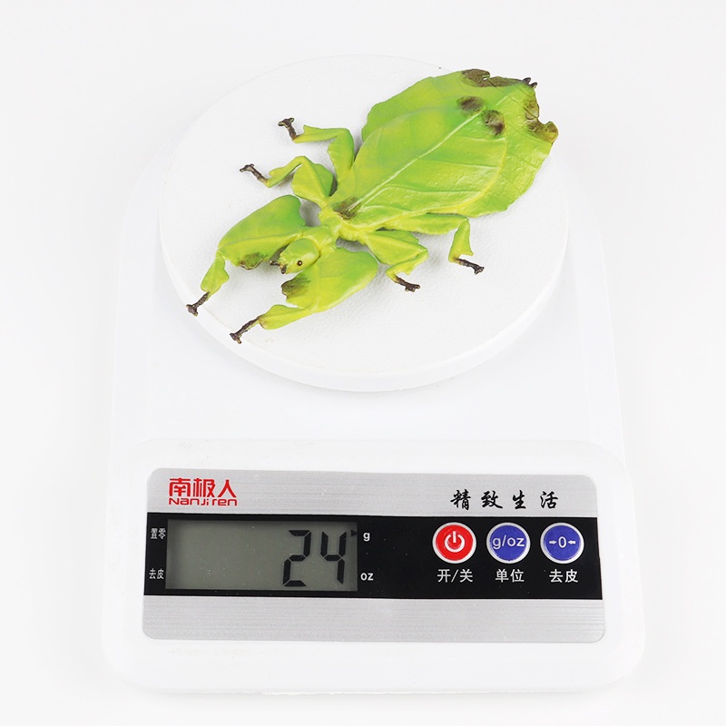 Model Phyllium Giganteum Giant Leaf Insect Imitation Toy Children ...