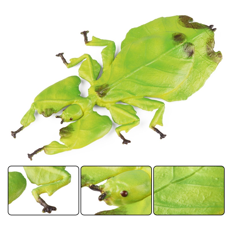 Model Phyllium Giganteum Giant Leaf Insect Imitation Toy Children ...