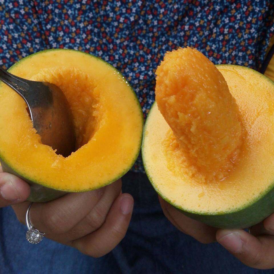 Pokok Mangga Taiwan Ungu Hybrid | Shopee Malaysia