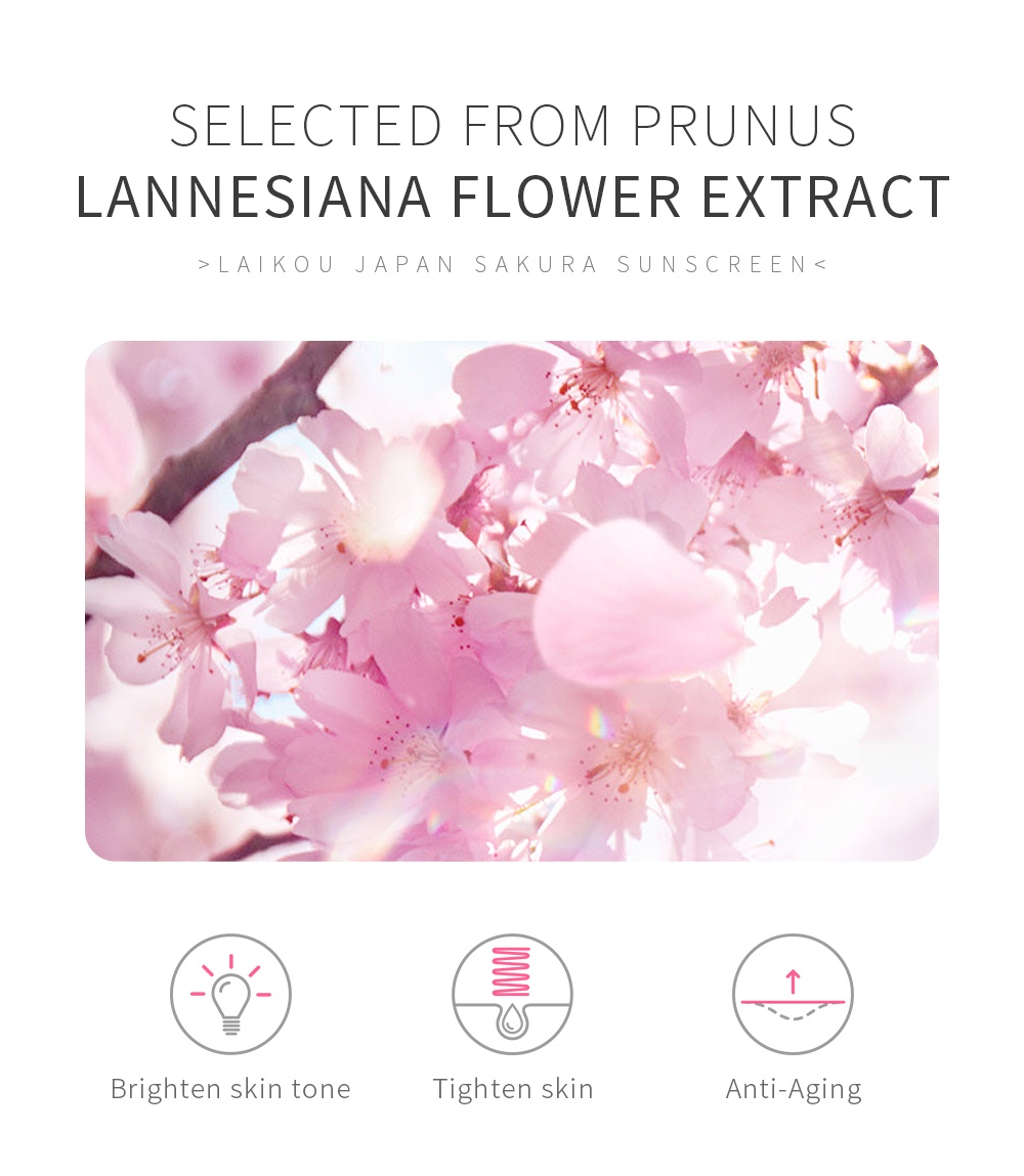 LAIKOU JAPAN Sakura Sunscreen Whitening SPF 50 PA+++ UV Protector 50g ...