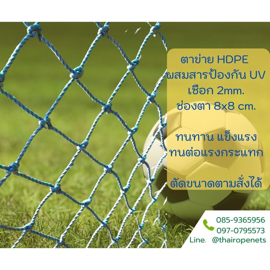 Poly Netting PE/UV Mesh Ball Net (Height 4 Meters) | Shopee Malaysia