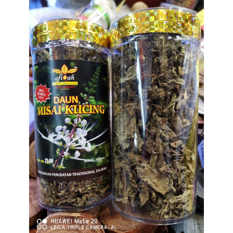 Misai kucing 100% Asli (tak ada batang) | Shopee Malaysia