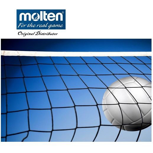 Volleyball Net - Molten VN4 +Cable (Tournament) | Shopee Malaysia
